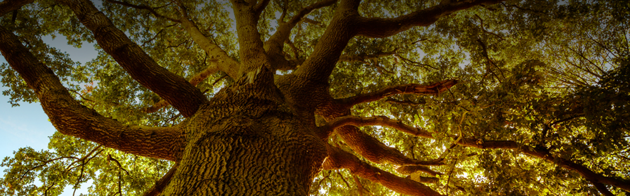 Uplifting and humorous poems for a humanist funeral